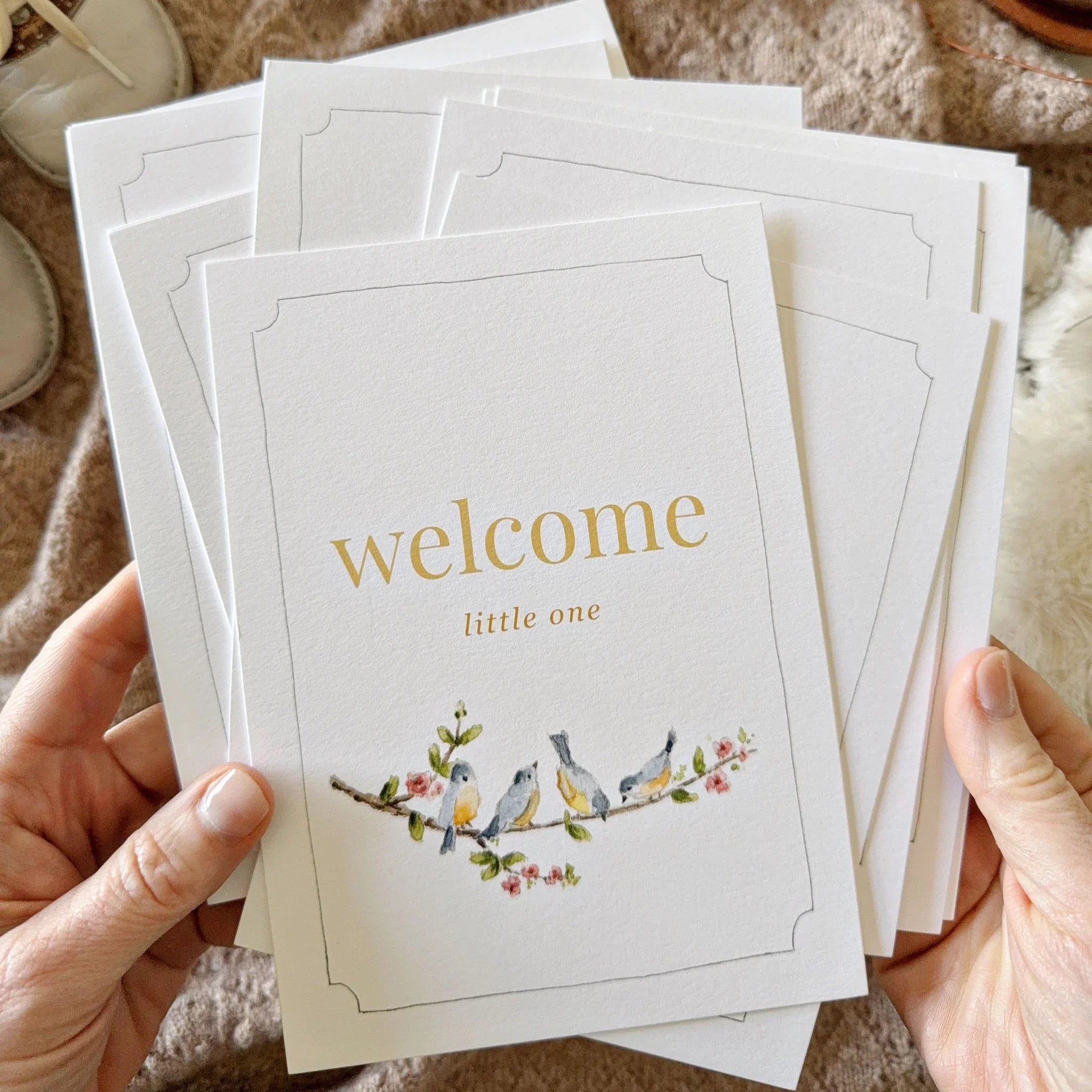 baby milestone cards – Emily Lex Studio Wholesale