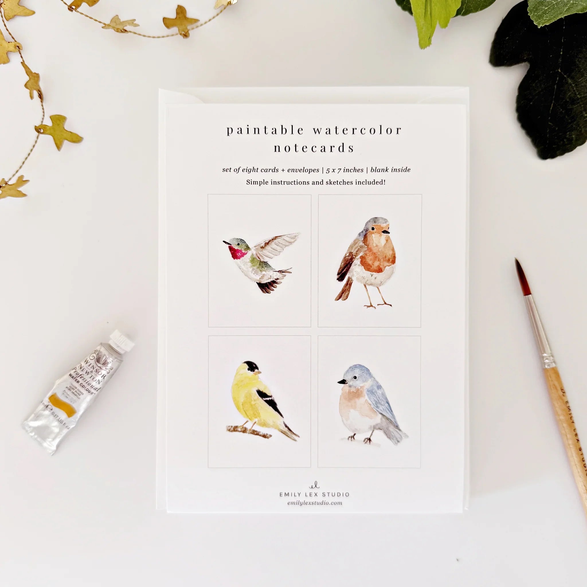 birds paintable watercolor notecard set – Emily Lex Studio Wholesale